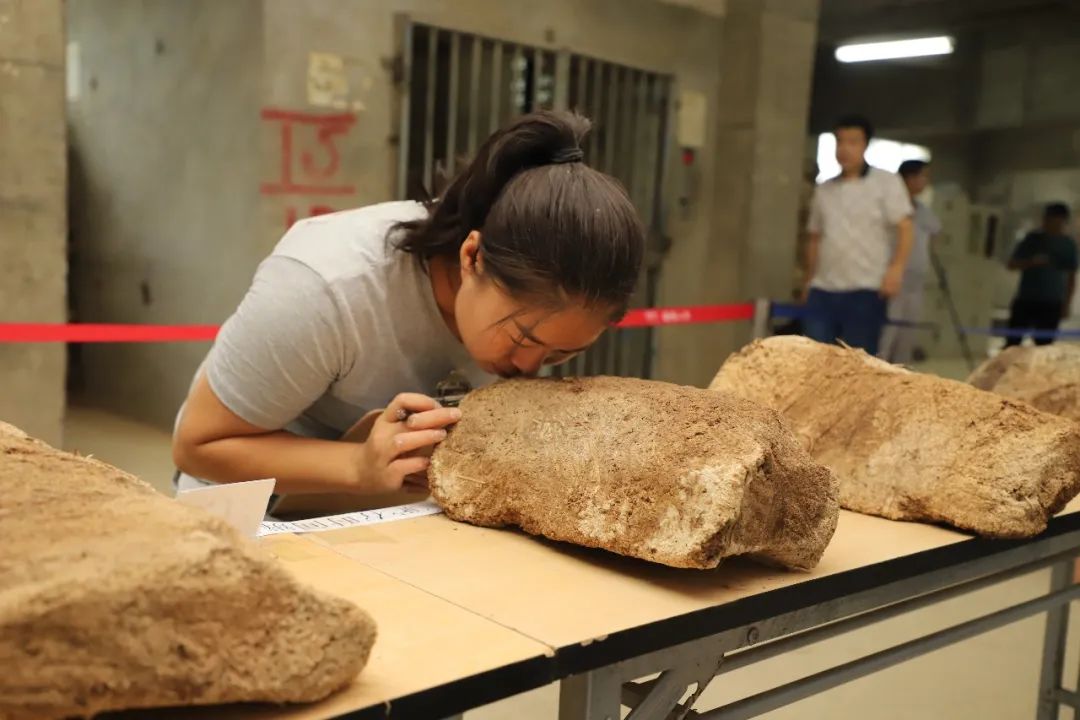 “Qu”: the backbone of Chinese Baijiu